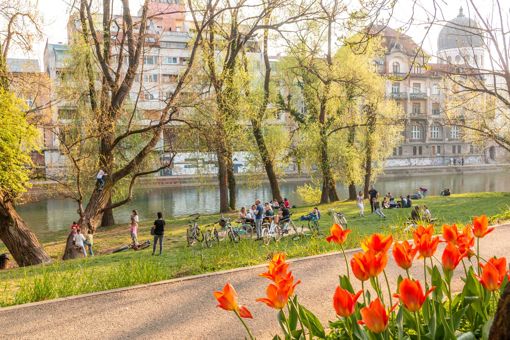 Visit Oradea